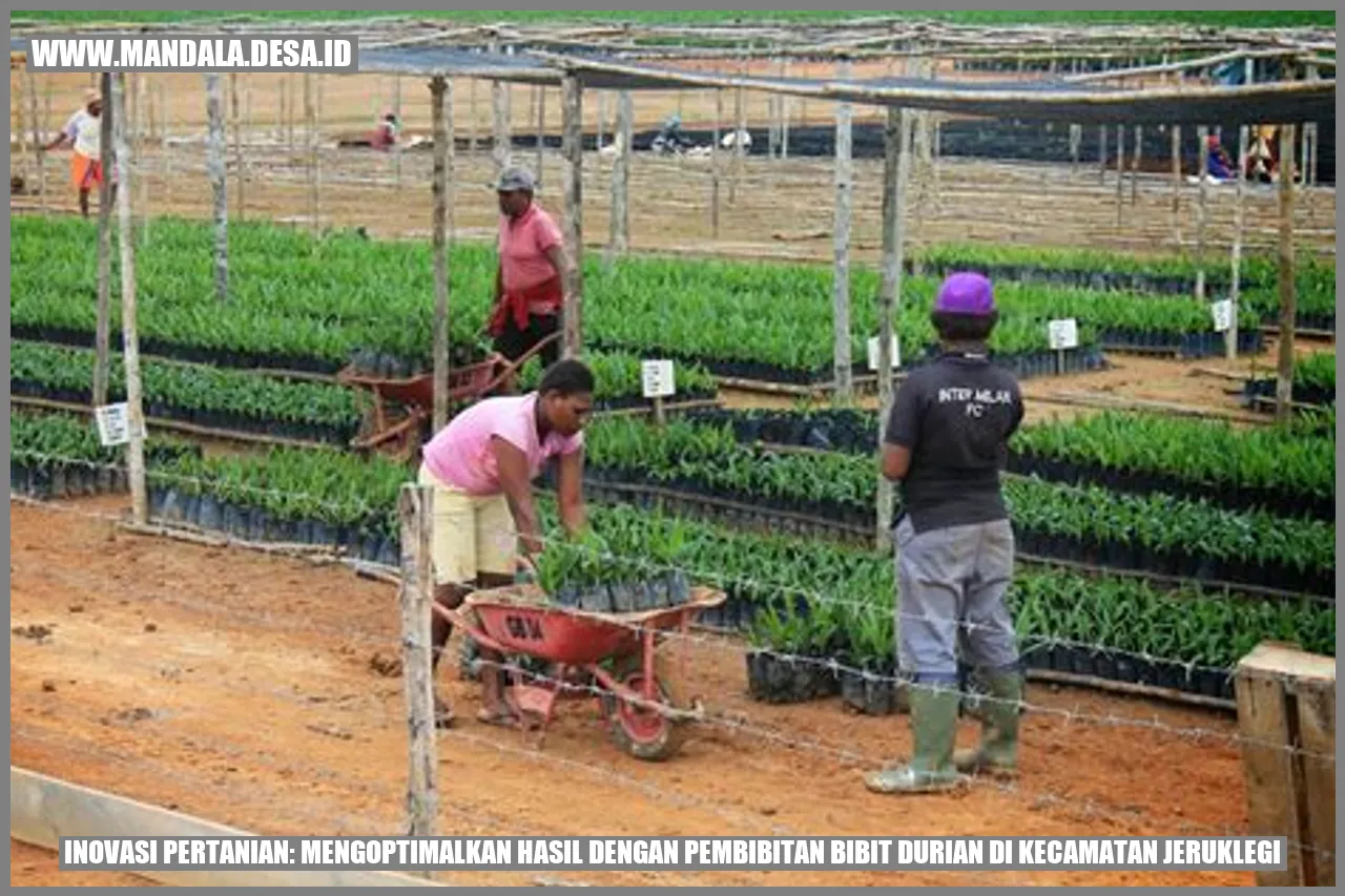 Inovasi Pertanian Durian di Jeruklegi | Mandala