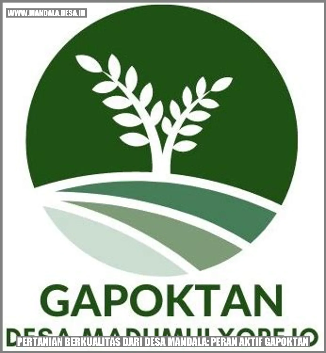 Pertanian Berkualitas dari Desa Mandala: Peran Aktif Gapoktan | Mandala