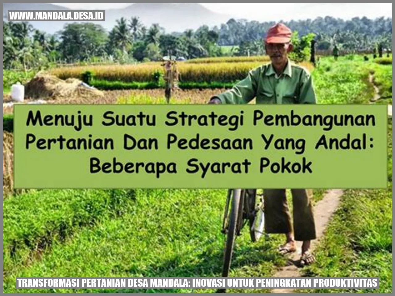 Transformasi Pertanian Desa Mandala: Inovasi untuk Peningkatan ...